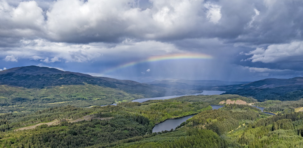 Forestry and natural capital - Gresham House JP