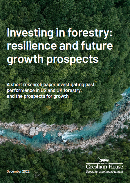 Investing in forestry: resilience & future growth prospects