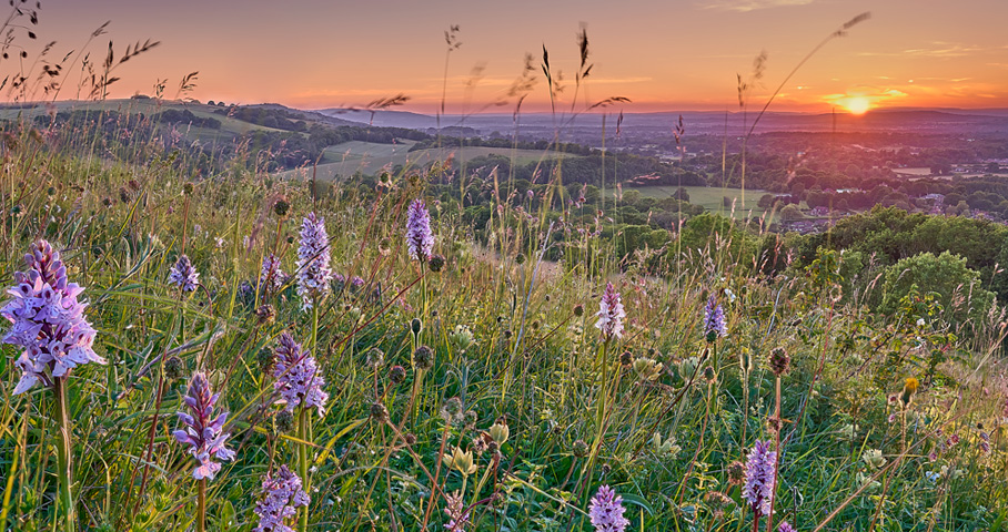 Natural capital investment - Gresham House