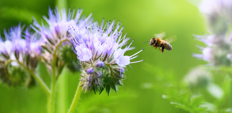 Gresham House launches strategy to accelerate restoration of UK ...